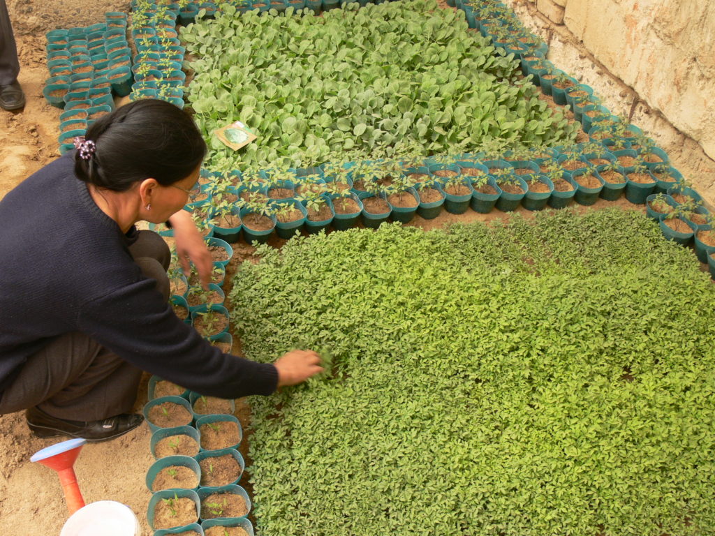 Changing the Game: New Monitoring Techniques for Traditional Farmers in ...